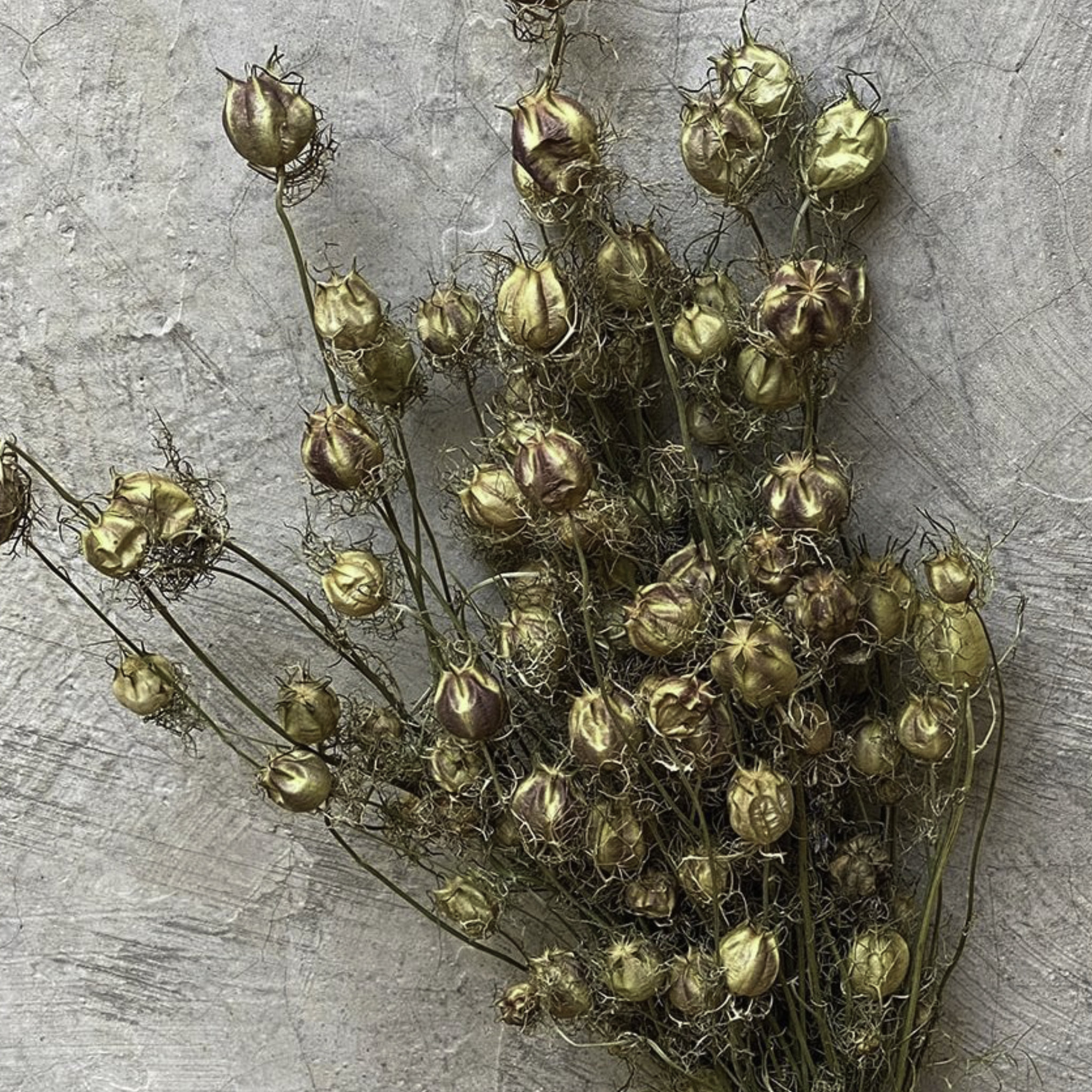 New Arrivals Archives - Just Maison